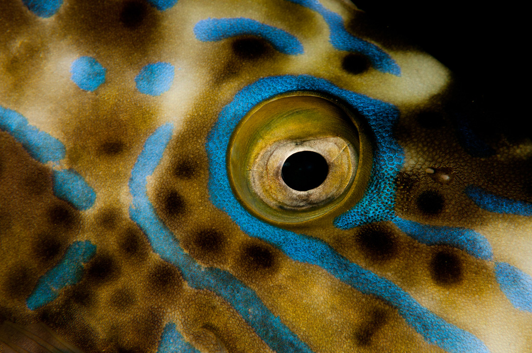 Easter Island images: Nature