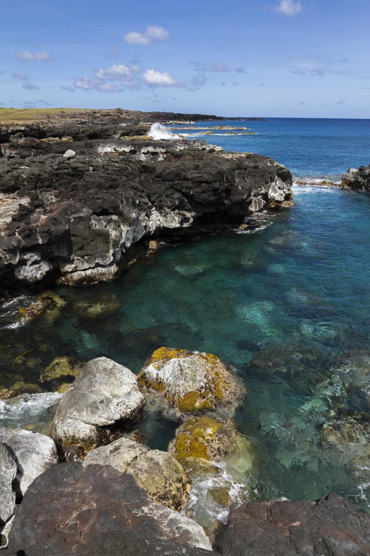 Easter Island images: Nature