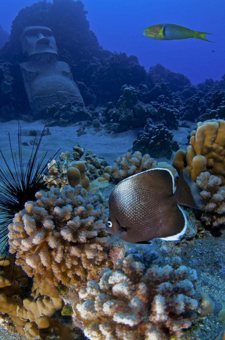 Easter Island images: Nature